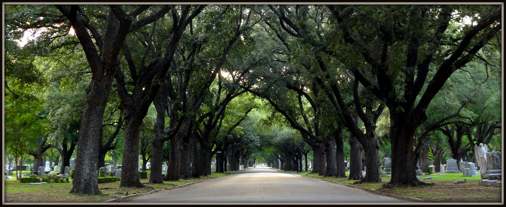 Fun day – Part 3- cemetery | Ramblings….